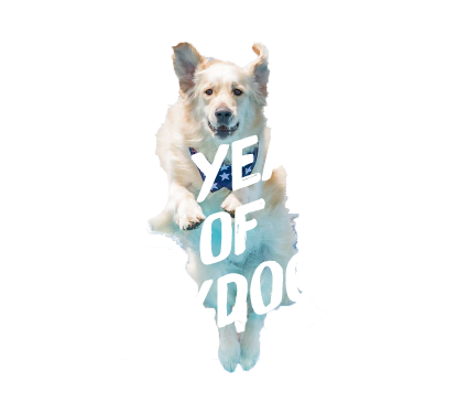 Dock Dogs – The World’s Premier Canine Aquatics Competition
