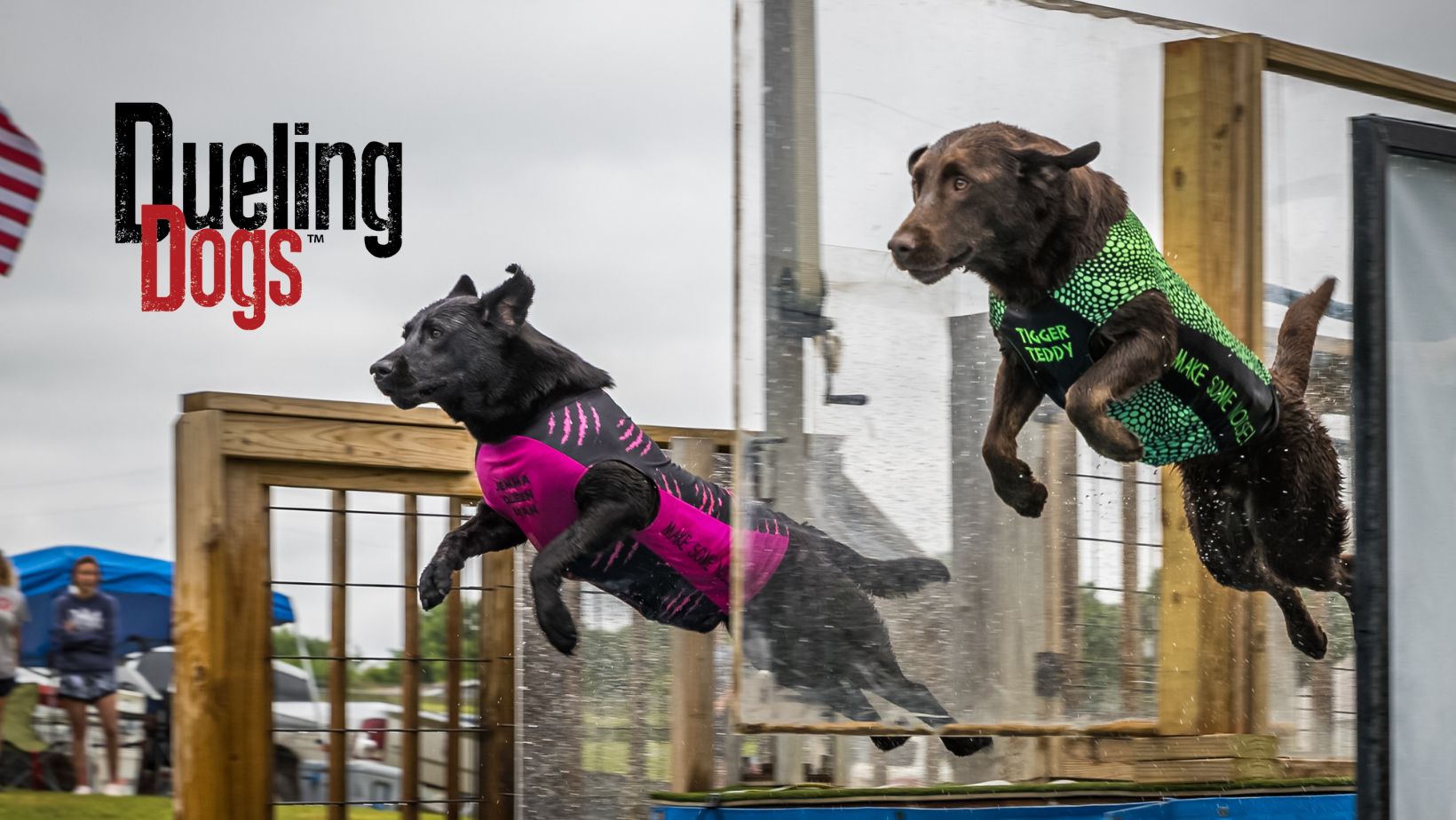Give Dueling Dogs™ a Try at an Event Near You! 🐾 – DockDogs®